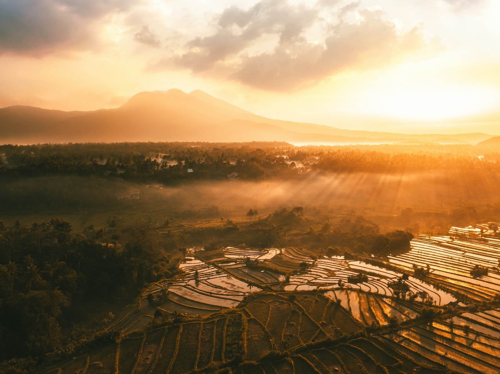 10 Essential Things About Business Culture in Indonesia