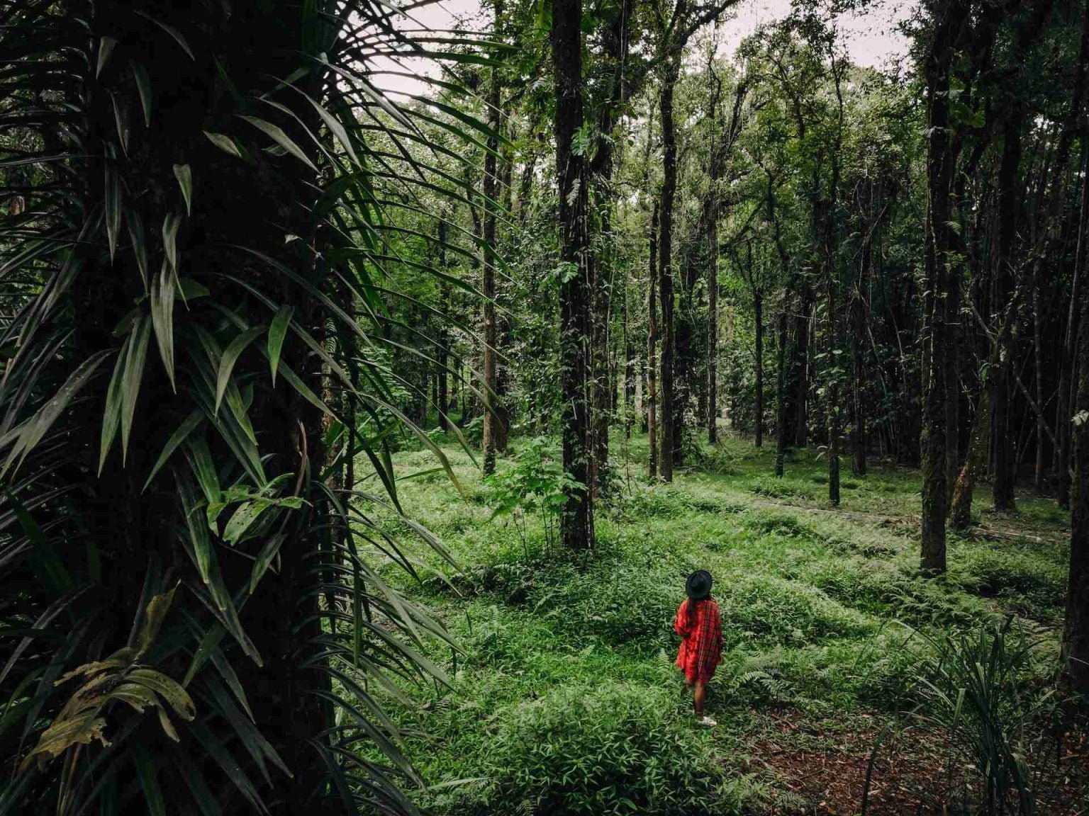 e-Visa Bali: The Requirements and How to Apply